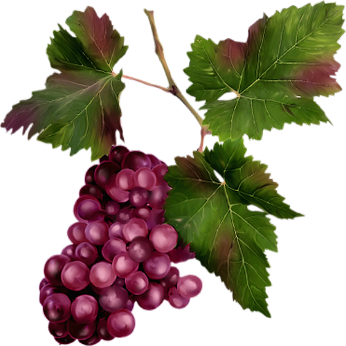 tubes vendanges - Page 2