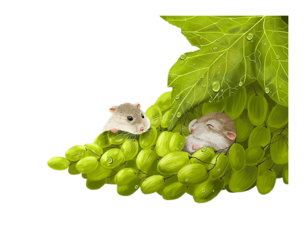 tubes vendanges - Page 6