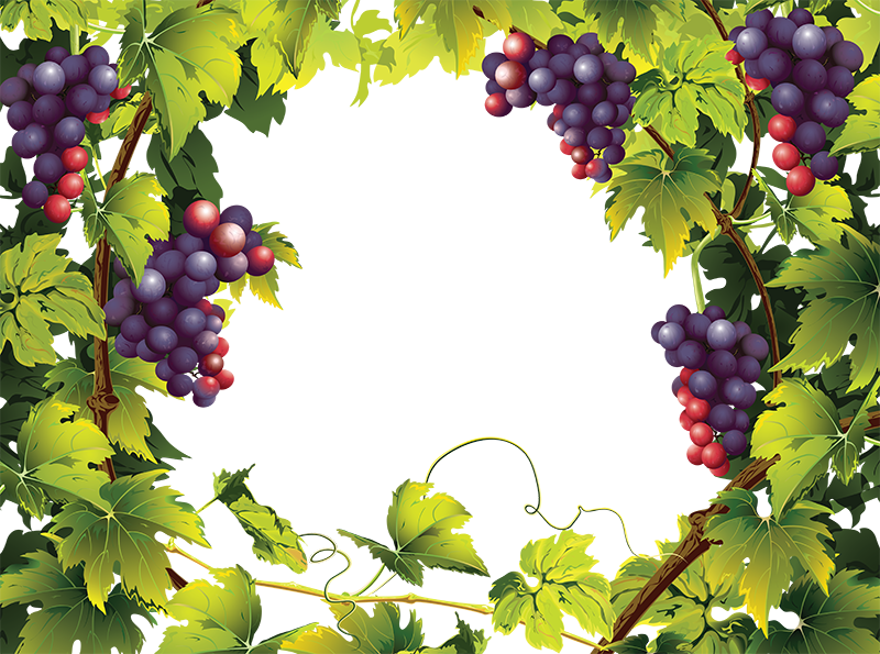 tubes vendanges - Page 2